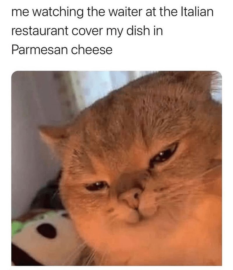 17 Of The Funniest Cheese Memes - AnyCheese Blog