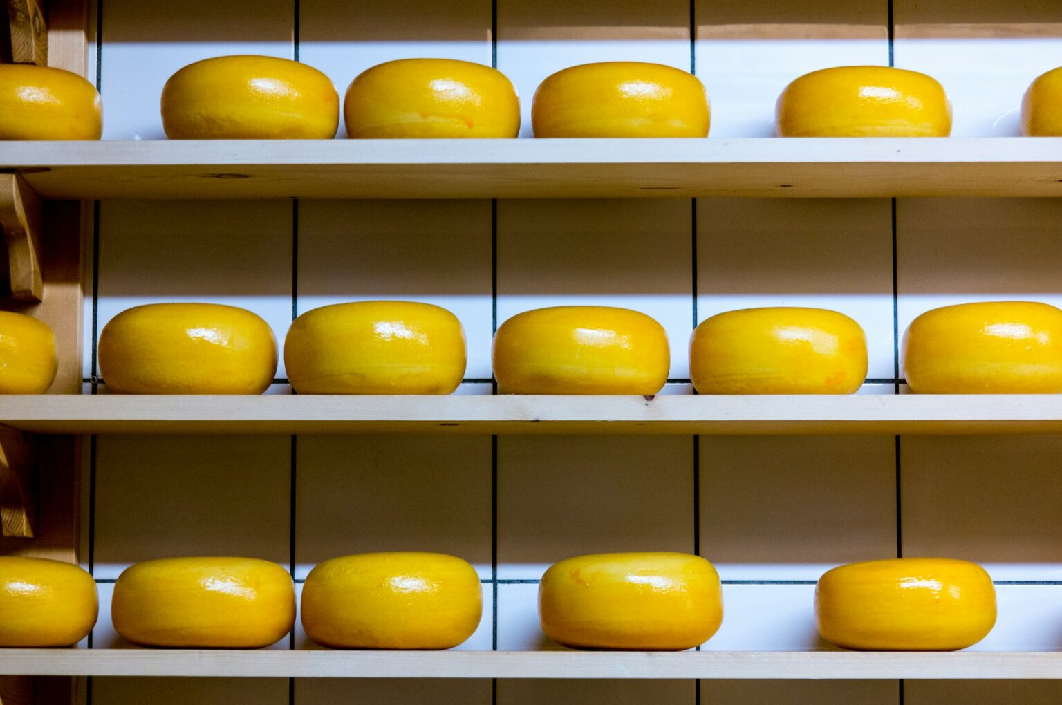 23 Popular Types of Mild Cheeses | AnyCheese - AnyCheese