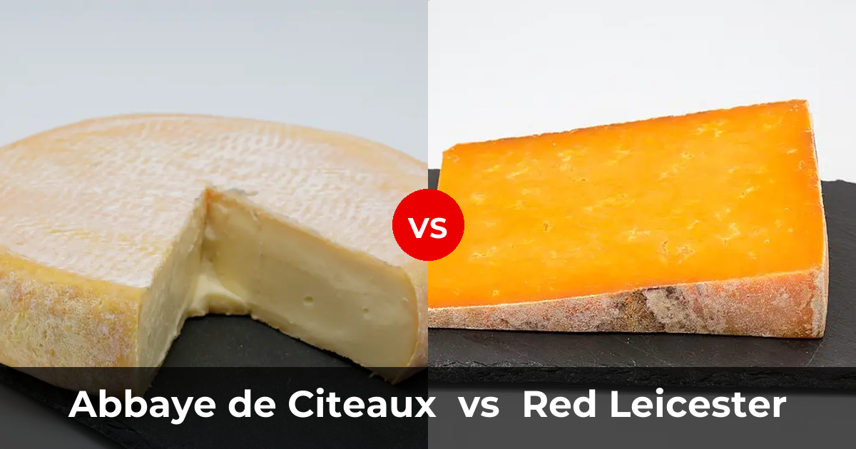 Abbaye de Citeaux Cheese vs Red Leicester Cheese: What's the Difference ...