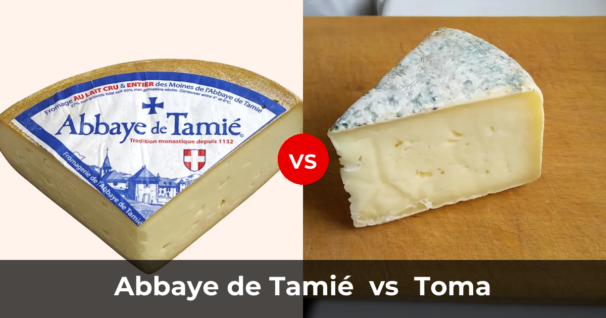 Abbaye de Tamié Cheese vs Toma Cheese: What's the Difference? | Taste ...