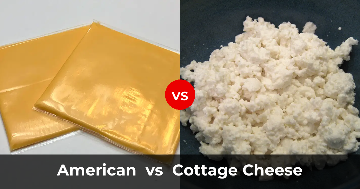 American Cheese vs Cottage Cheese: What's the Difference? | Taste ...