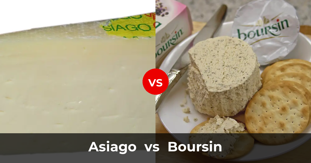 Asiago Cheese vs Boursin Cheese: What's the Difference? | Taste ...