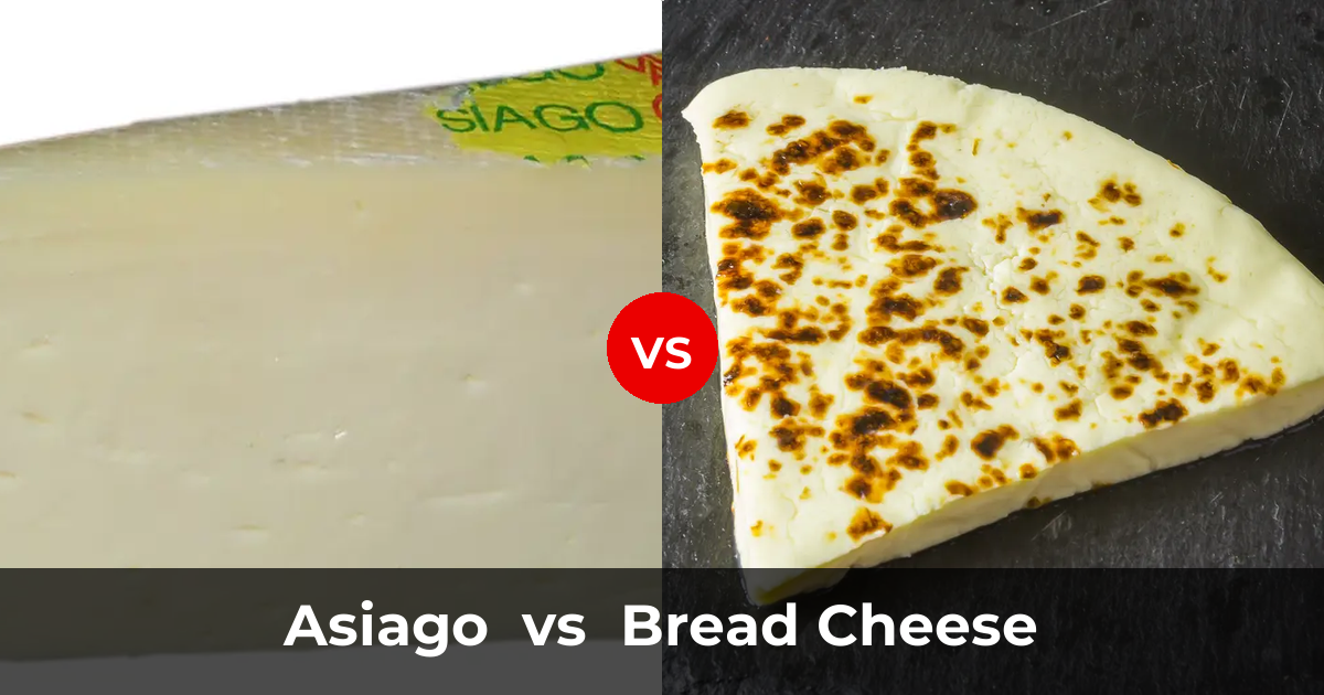 Asiago Cheese vs Bread Cheese: What's the Difference? | Taste, Texture ...