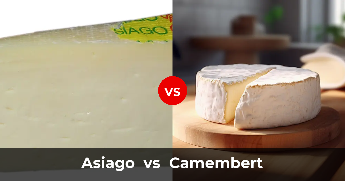 Asiago Cheese vs Camembert Cheese: What's the Difference? | Taste ...
