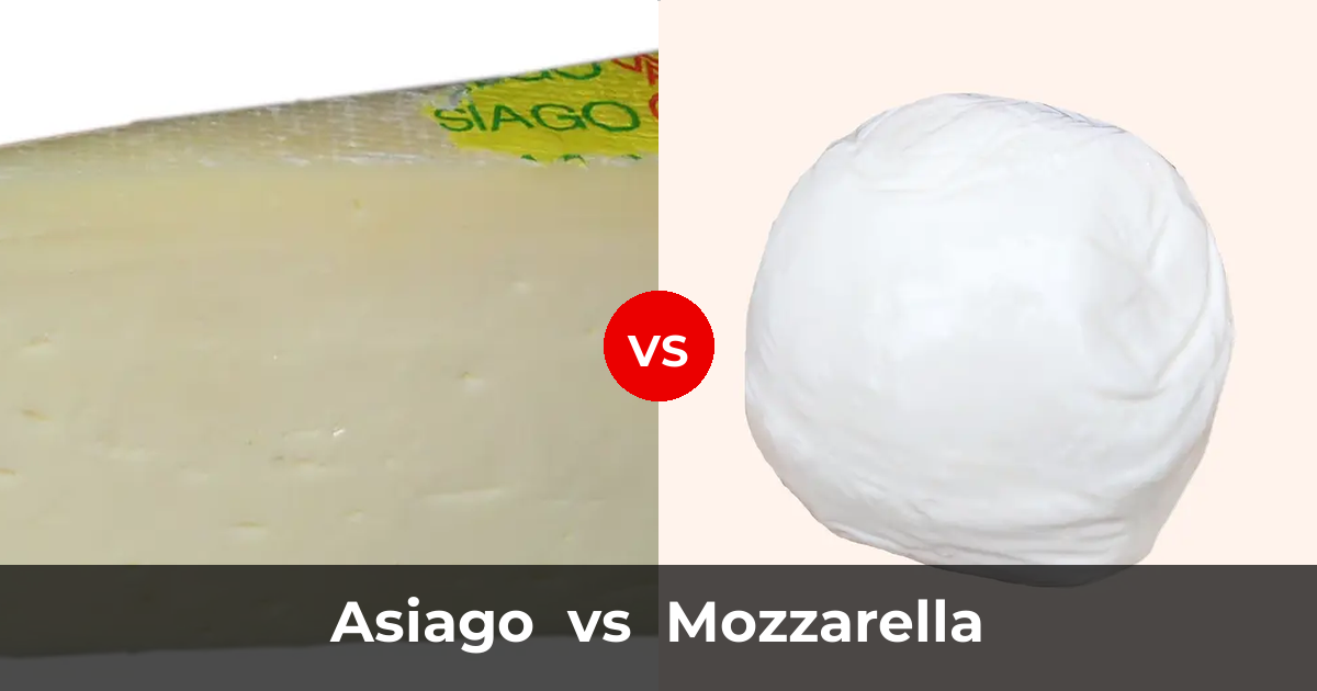 Asiago Cheese vs Mozzarella Cheese: What's the Difference? | Taste ...
