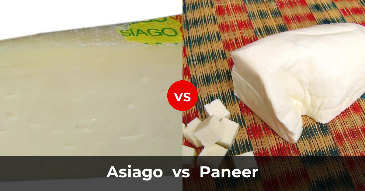 Asiago Cheese vs Paneer Cheese: What's the Difference? | Taste, Texture ...
