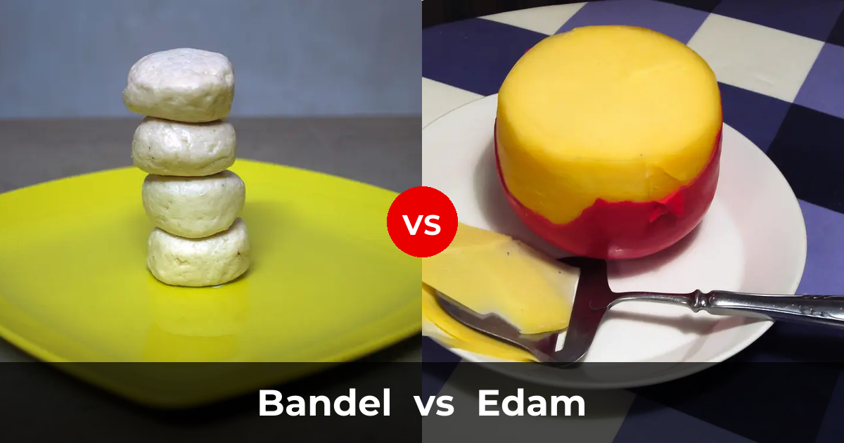 Bandel vs Edam: What's the Difference? - AnyCheese