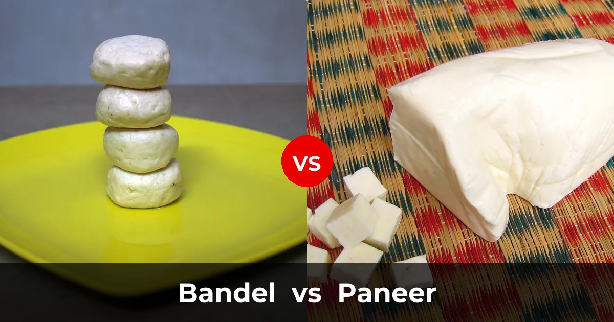Bandel Cheese vs Paneer Cheese: What's the Difference? | Taste, Texture ...