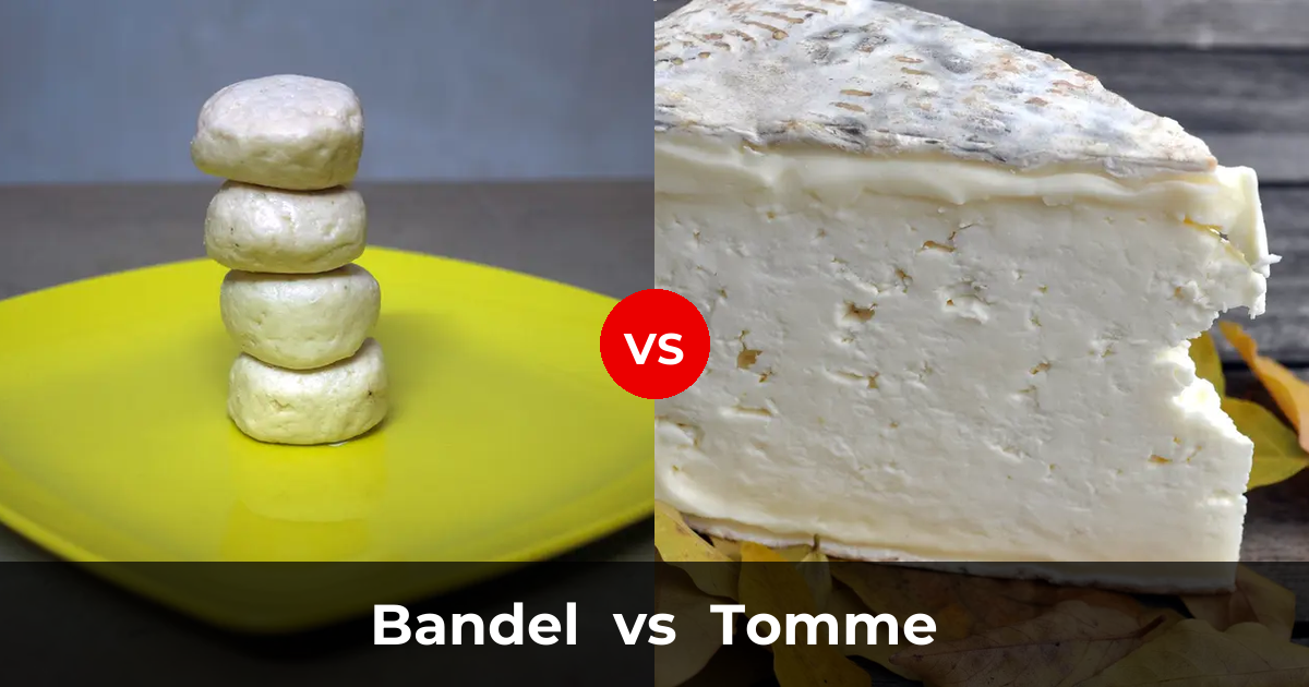Bandel vs Tomme: What's the Difference? - AnyCheese