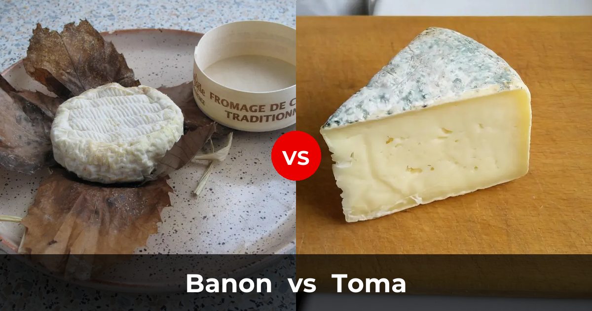 Banon vs Toma: What's the Difference? - AnyCheese
