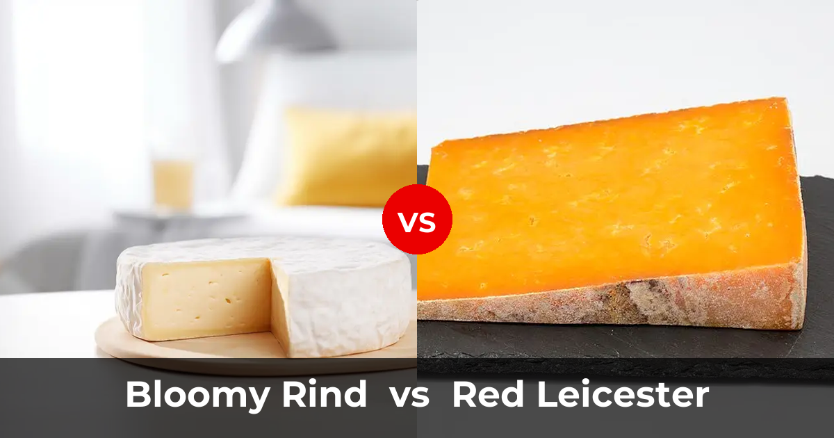 Bloomy Rind Cheese vs Red Leicester Cheese: What's the Difference ...