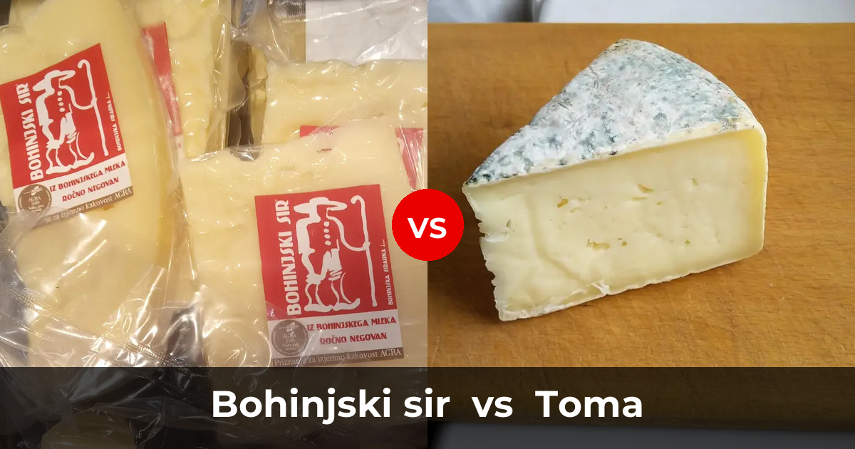 Bohinjski sir Cheese vs Toma Cheese: What's the Difference? | Taste ...