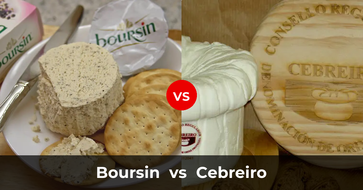 Boursin vs Cebreiro: What's the Difference? - AnyCheese
