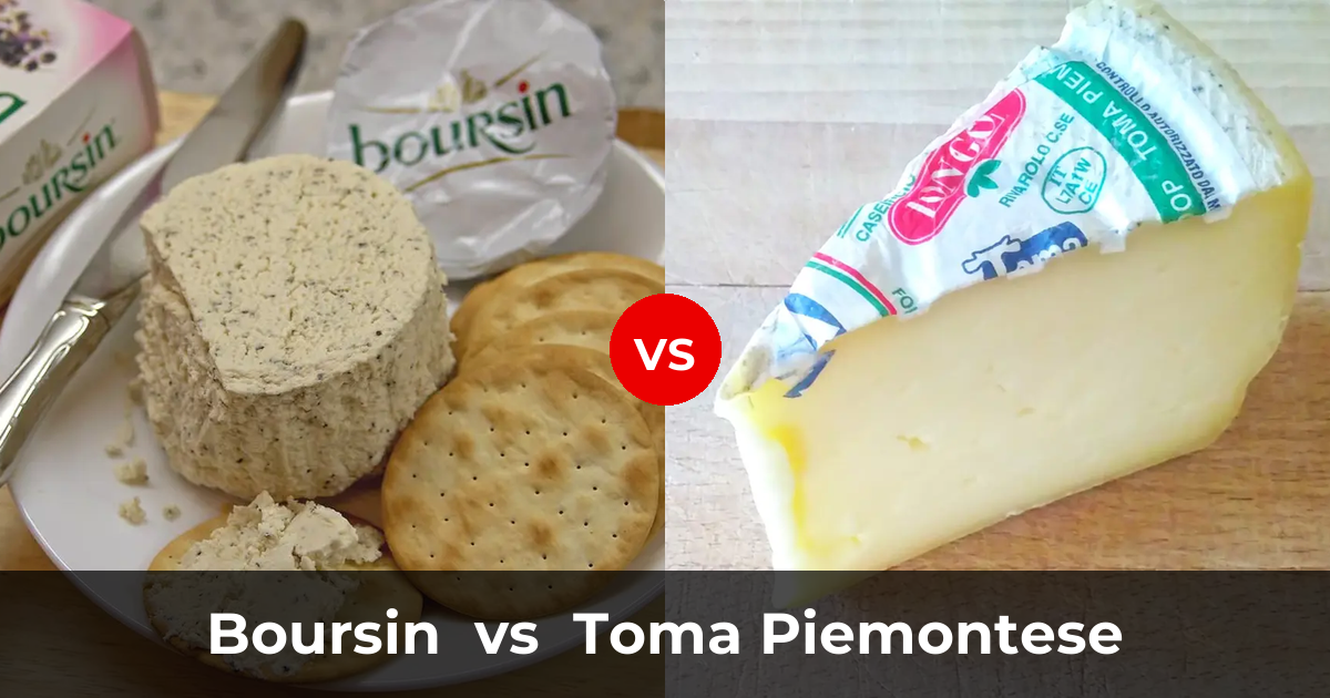 Boursin Cheese vs Toma Piemontese Cheese: What's the Difference ...