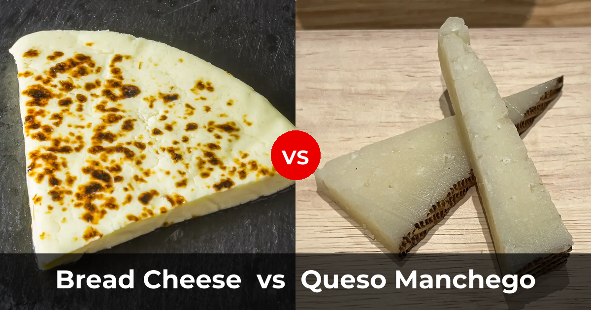 Bread Cheese vs Queso Manchego: What's the Difference? | Taste, Texture ...