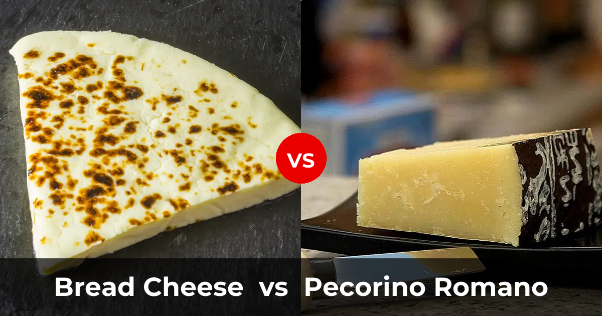 Bread Cheese vs Pecorino Romano Cheese: What's the Difference? | Taste ...