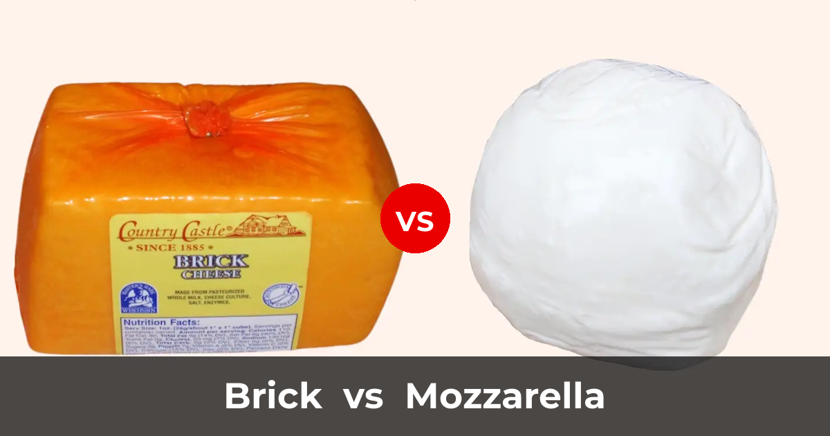 Brick Cheese vs Mozzarella Cheese: What's the Difference? | Taste ...