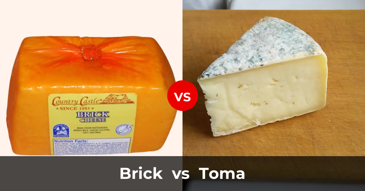 Brick Cheese vs Toma Cheese: What's the Difference? | Taste, Texture ...