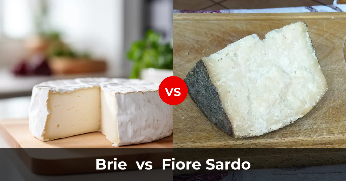 Brie vs Fiore Sardo: What's the Difference? - AnyCheese