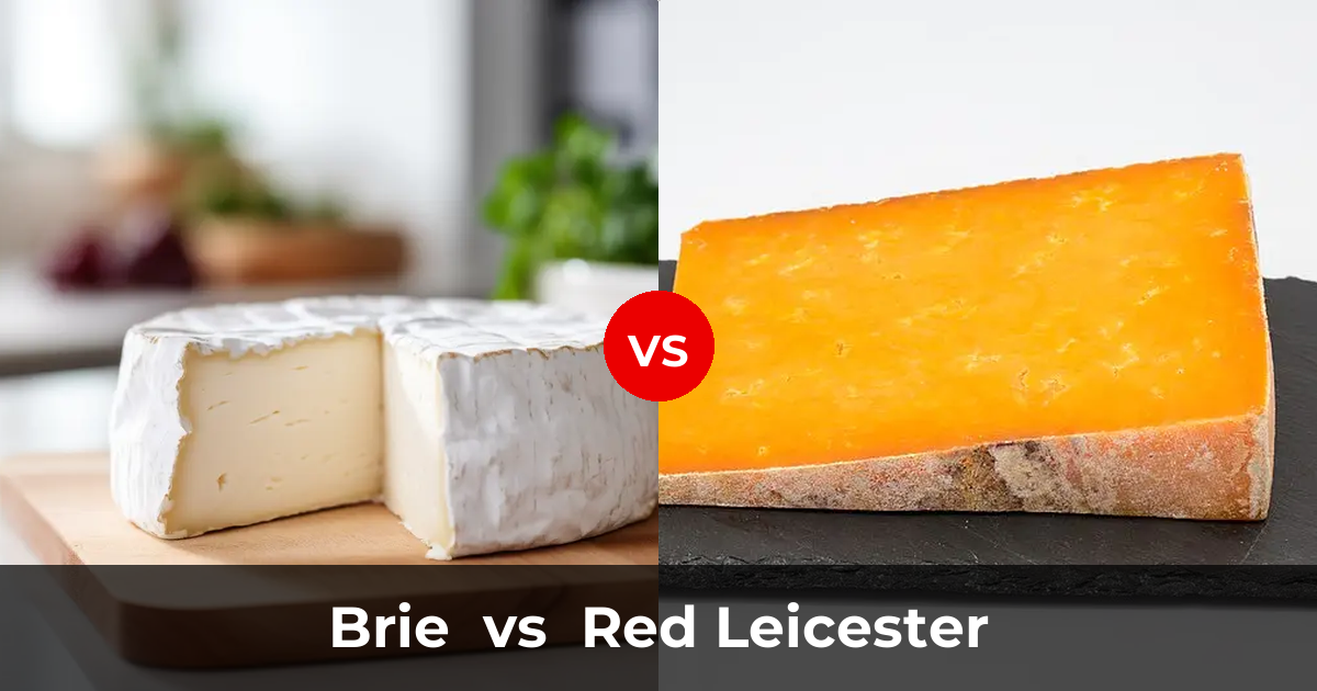 Brie Cheese vs Red Leicester Cheese: What's the Difference? | Taste ...