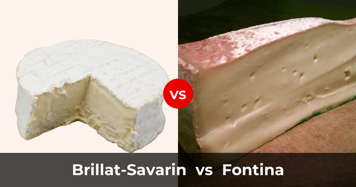 Brillat-Savarin Cheese vs Fontina Cheese: What's the Difference ...