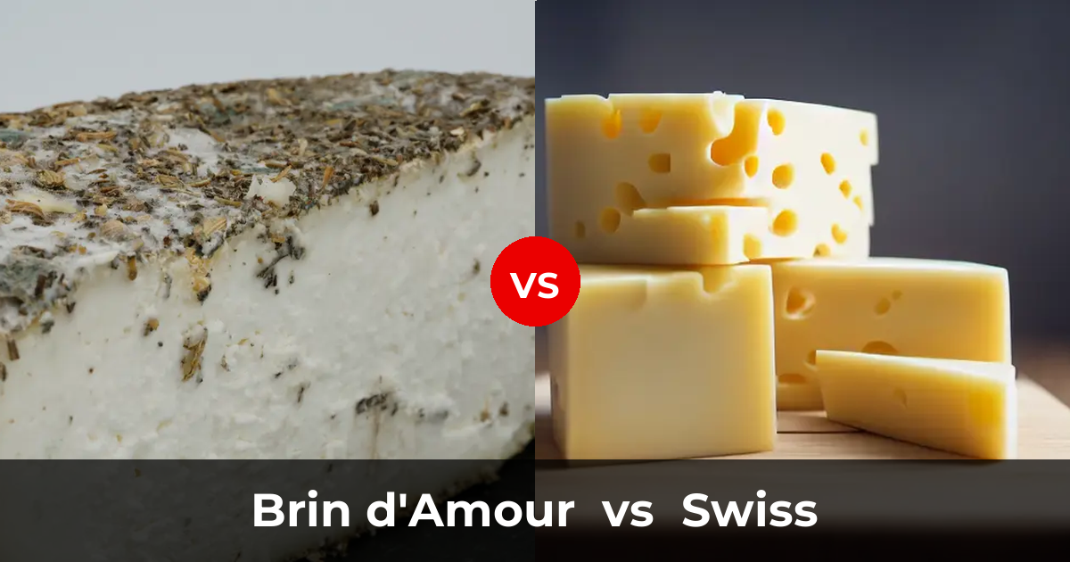 Brin d'Amour Cheese vs Swiss Cheese: What's the Difference? | Taste ...