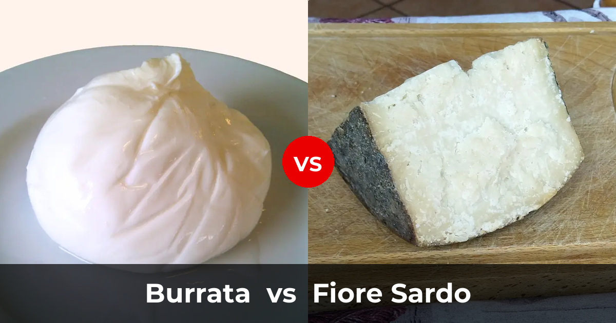 Burrata Cheese vs Fiore Sardo Cheese: What's the Difference? | Taste ...