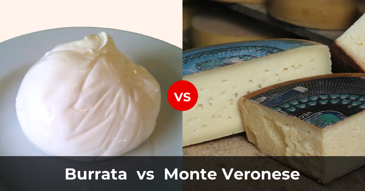 Burrata vs Monte Veronese: What's the Difference? - AnyCheese