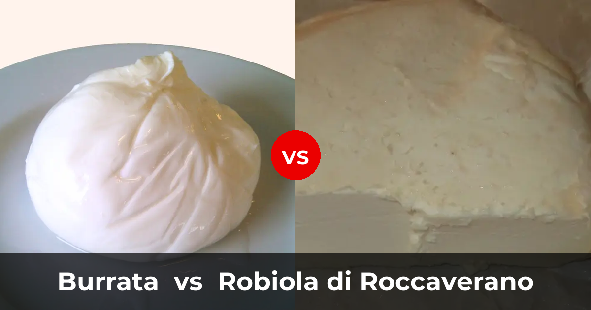 Burrata Cheese vs Robiola di Roccaverano Cheese: What's the Difference ...