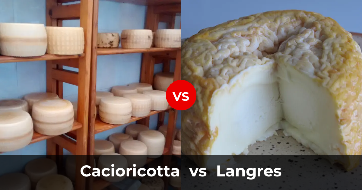 Cacioricotta vs Langres: What's the Difference? - AnyCheese