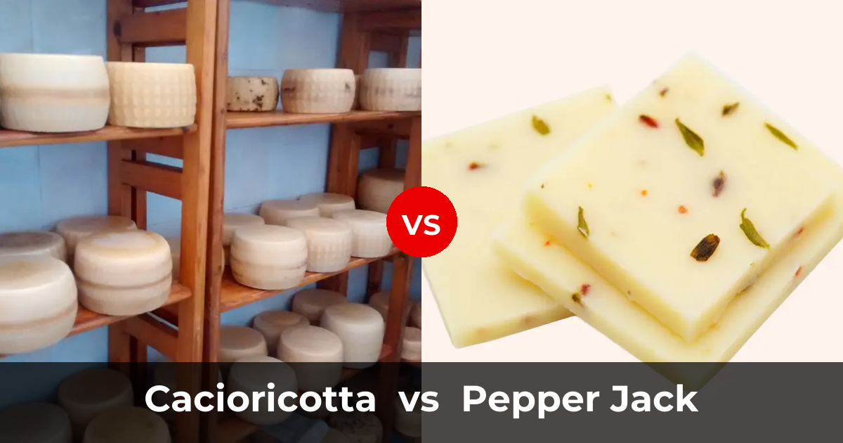 Cacioricotta Cheese vs Pepper Jack Cheese: What's the Difference ...