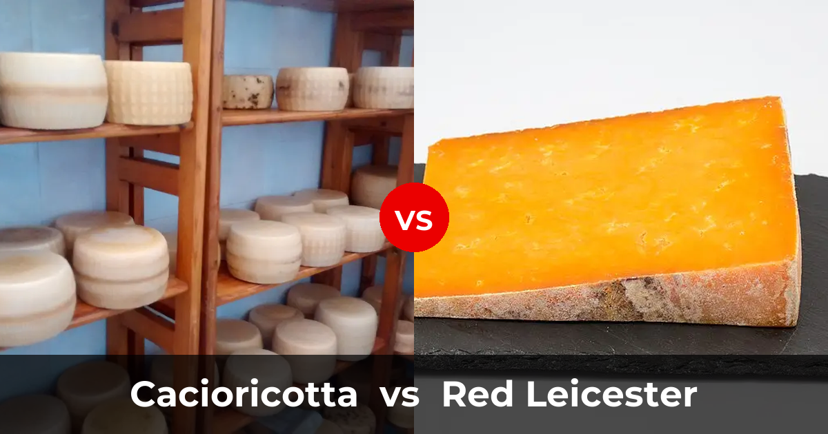 Cacioricotta Cheese vs Red Leicester Cheese: What's the Difference ...