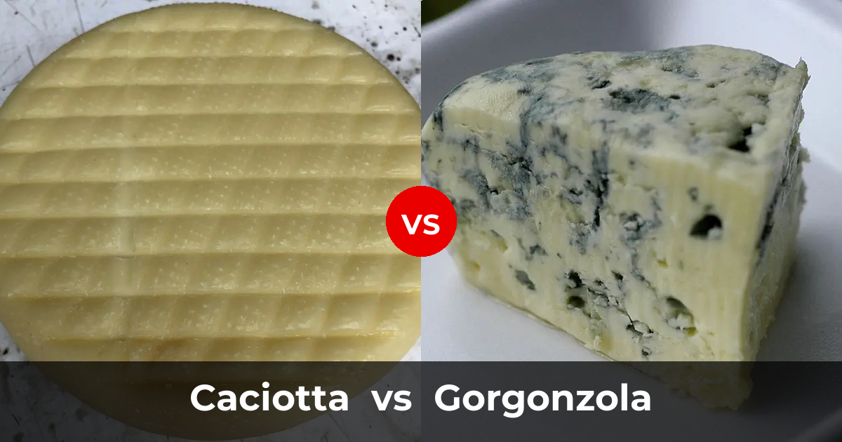 Caciotta vs Gorgonzola: What's the Difference? - AnyCheese