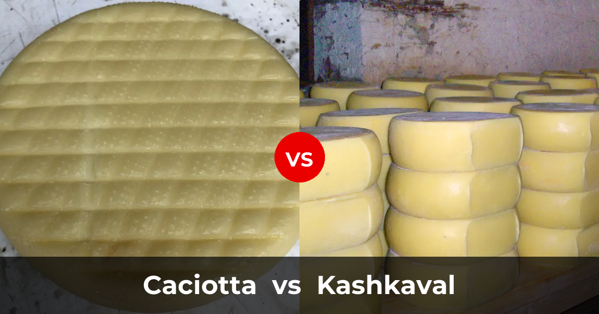 Caciotta Cheese vs Kashkaval Cheese: What's the Difference? | Taste ...
