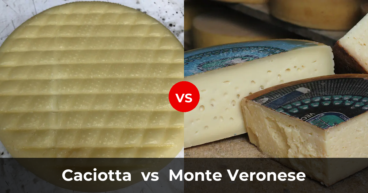 Caciotta vs Monte Veronese: What's the Difference? - AnyCheese