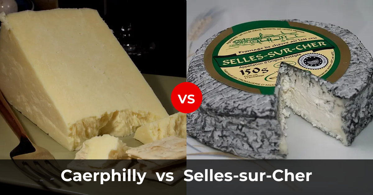 Caerphilly Cheese vs Selles-sur-Cher Cheese: What's the Difference ...