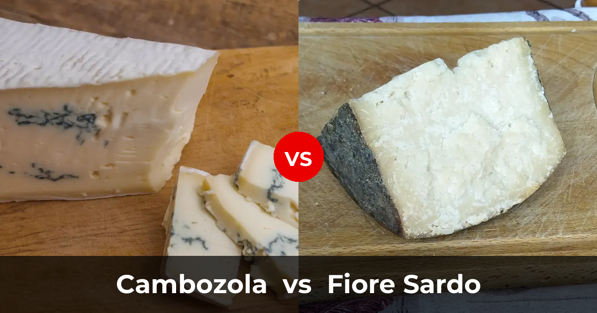 Cambozola vs Fiore Sardo: What's the Difference? - AnyCheese