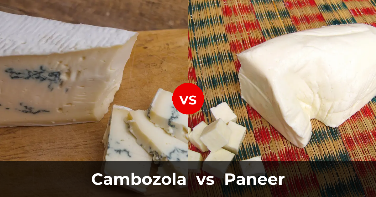 Cambozola Cheese vs Paneer Cheese: What's the Difference? | Taste ...