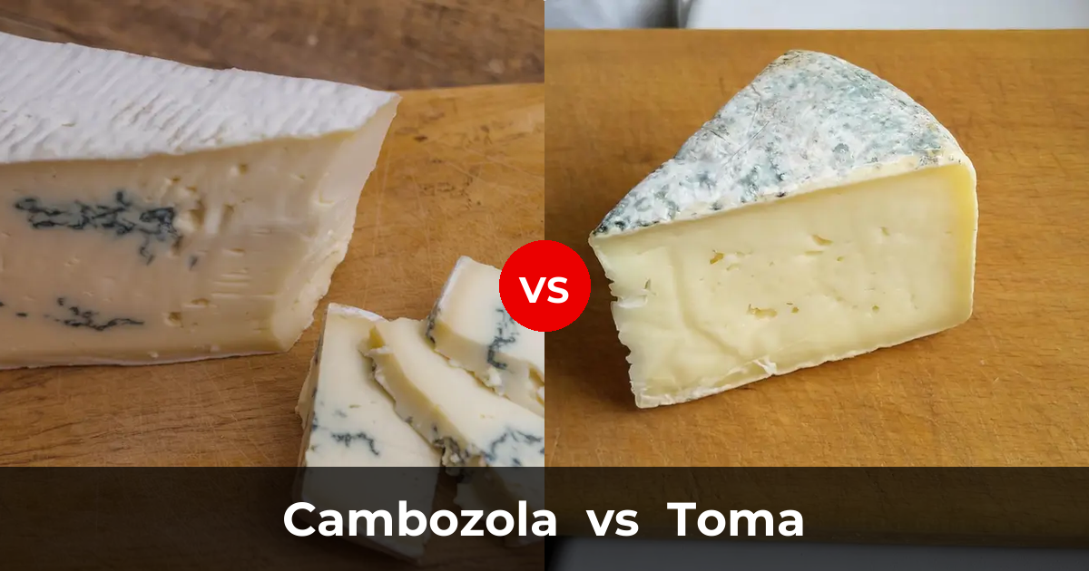 Cambozola Cheese vs Toma Cheese: What's the Difference? | Taste ...
