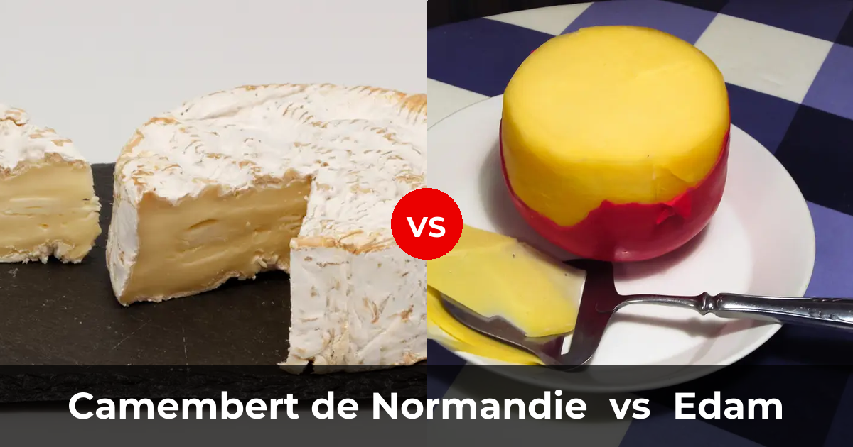 Camembert de Normandie Cheese vs Edam Cheese: What's the Difference ...