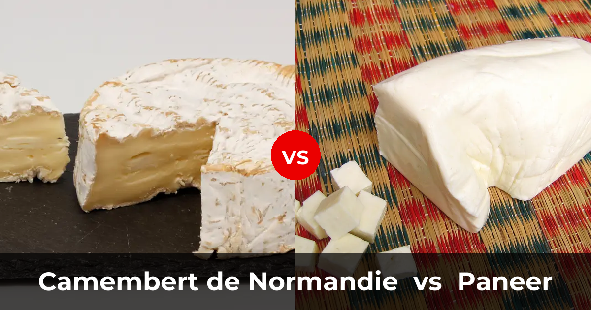 Camembert de Normandie Cheese vs Paneer Cheese: What's the Difference ...