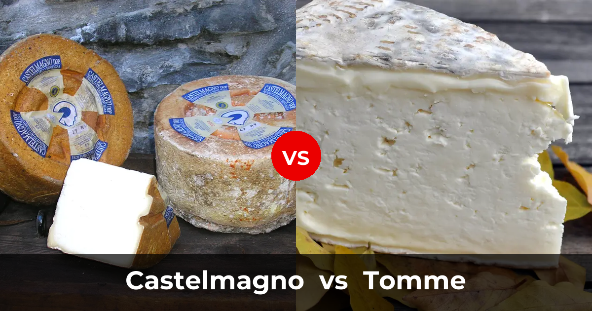 Castelmagno vs Tomme: What's the Difference? - AnyCheese