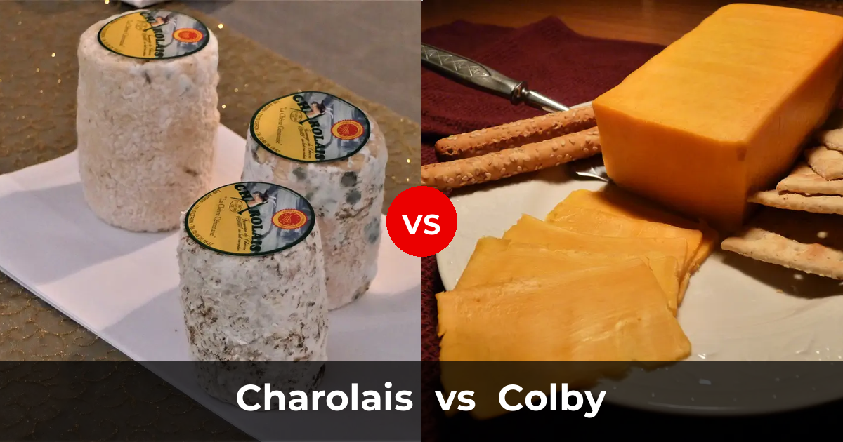 Charolais Cheese vs Colby Cheese: What's the Difference? | Taste ...