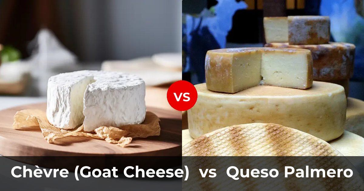 Chèvre (Goat Cheese) vs Queso Palmero: What's the Difference? - AnyCheese