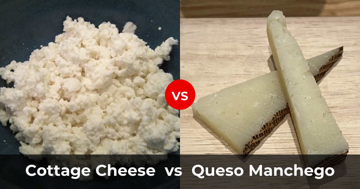 Cottage Cheese vs Queso Manchego: What's the Difference? | Taste ...