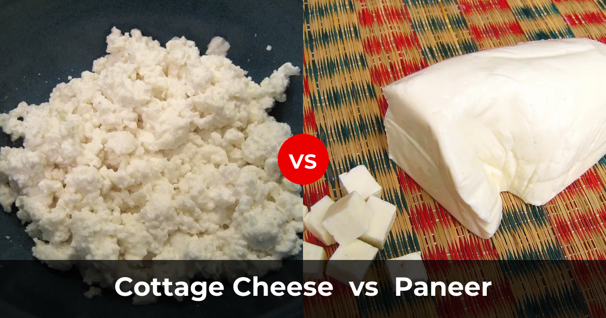Cottage Cheese vs Paneer Cheese: What's the Difference? | Taste ...