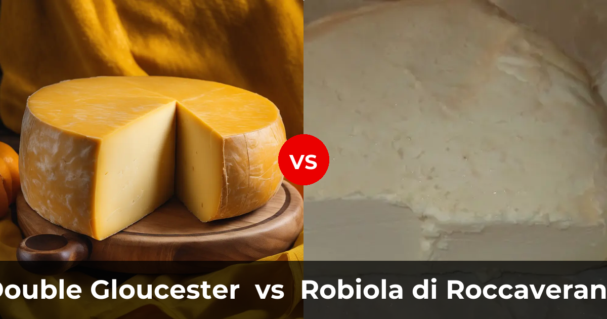 Double Gloucester Cheese vs Robiola di Roccaverano Cheese: What's the ...