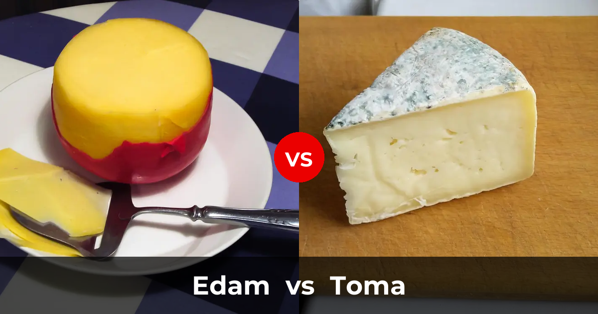 Edam vs Toma: What's the Difference? - AnyCheese
