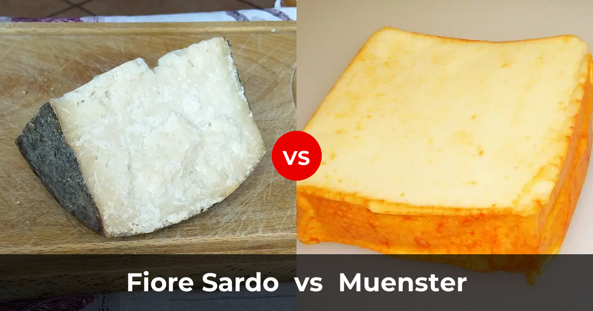 Fiore Sardo Cheese vs Muenster Cheese: What's the Difference? | Taste ...