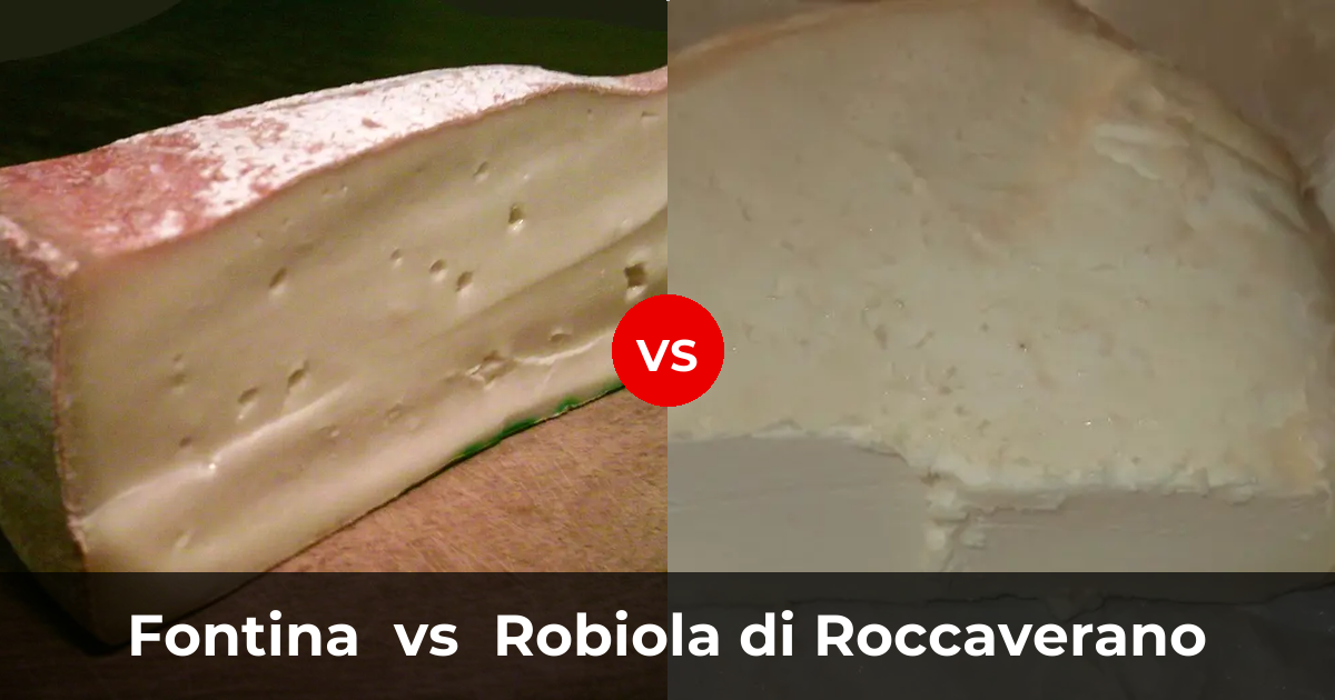 Fontina vs Robiola di Roccaverano: What's the Difference? - AnyCheese